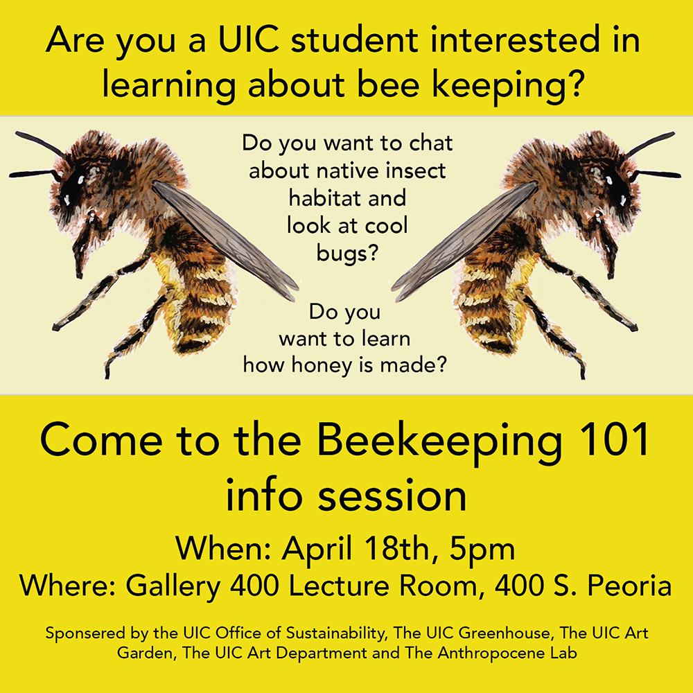 Bee Workshop: beekeeping 101 – Anthropocene Lab